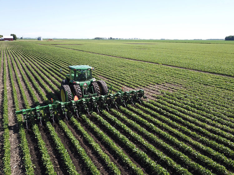 July 1st 2020 crop update on Laura® Soybeans