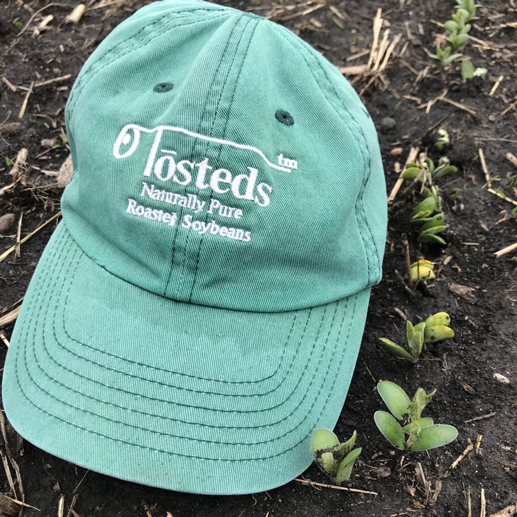 2019 Laura® Soybean Crop Update